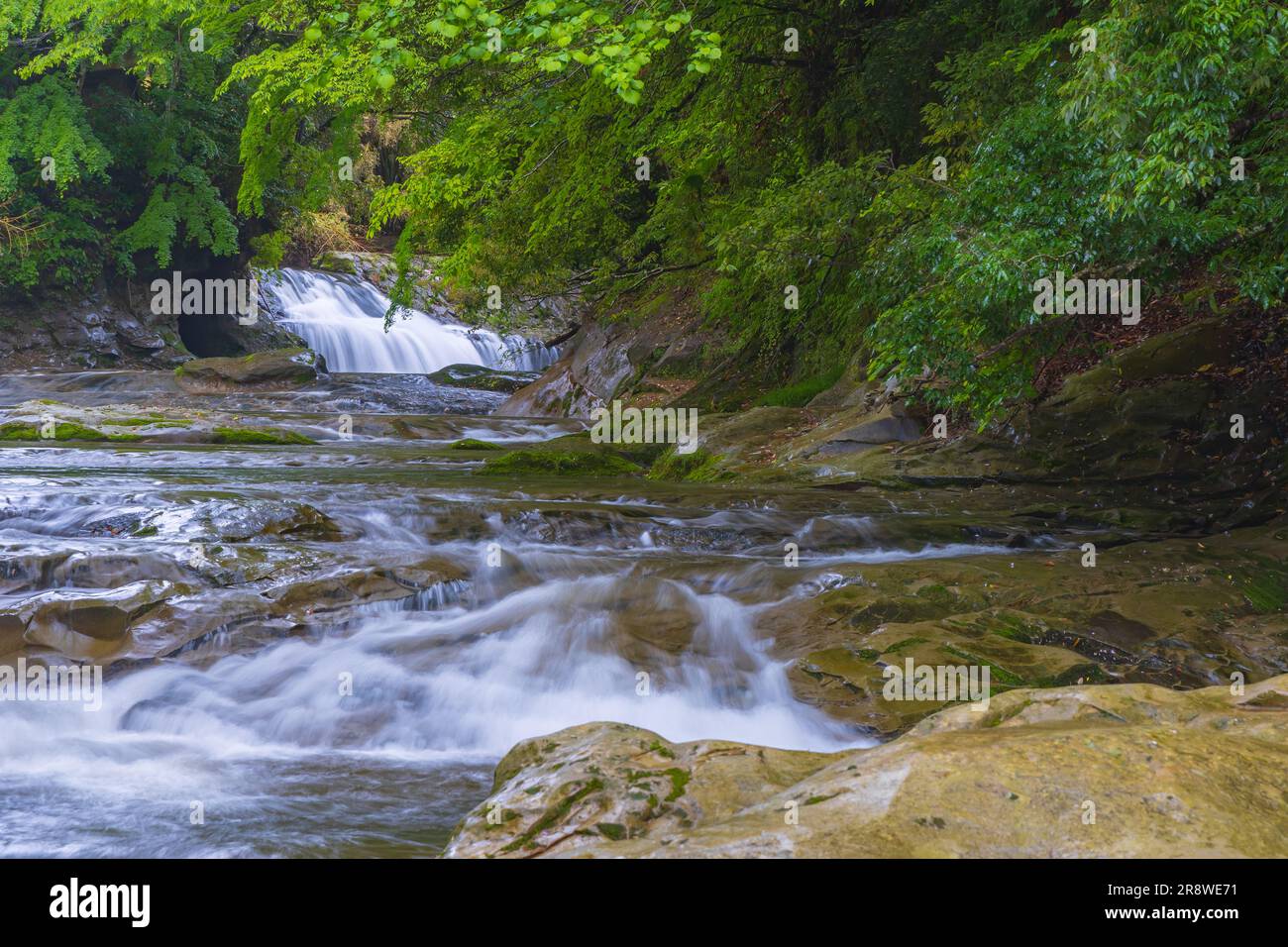 Awamata Falls in Yoro Gorge Stock Photo - Alamy