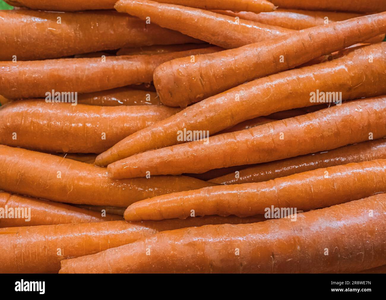 Pile of carrots for background. Grocery store. Shelves with organic ...