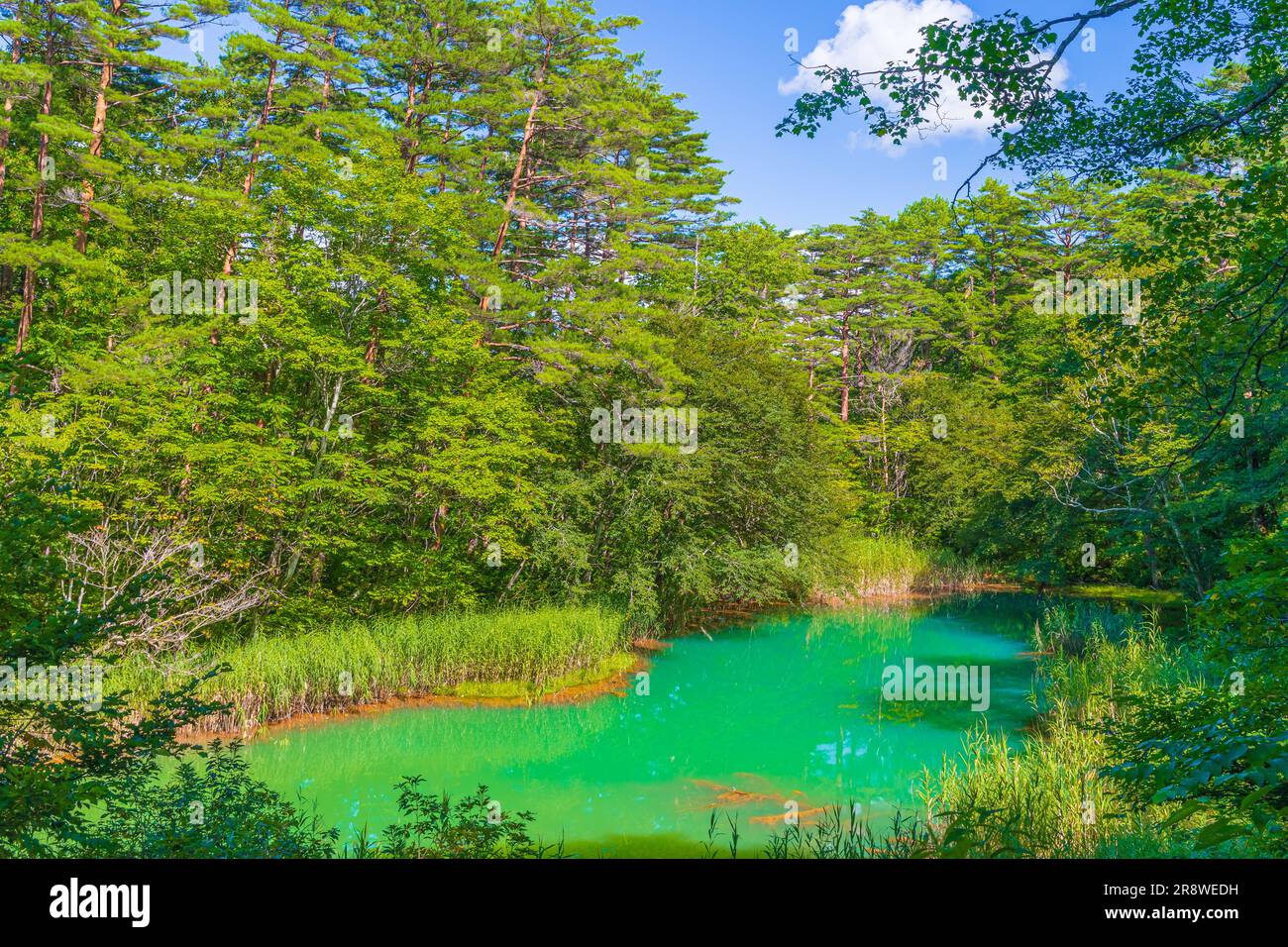 Akanuma in Goshikinuma Stock Photo - Alamy