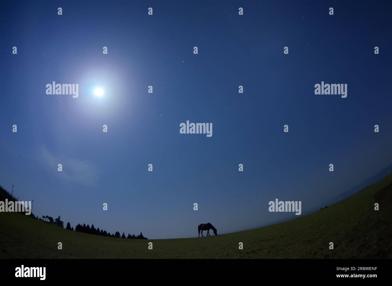 Night sky and Misakiuma Stock Photo - Alamy