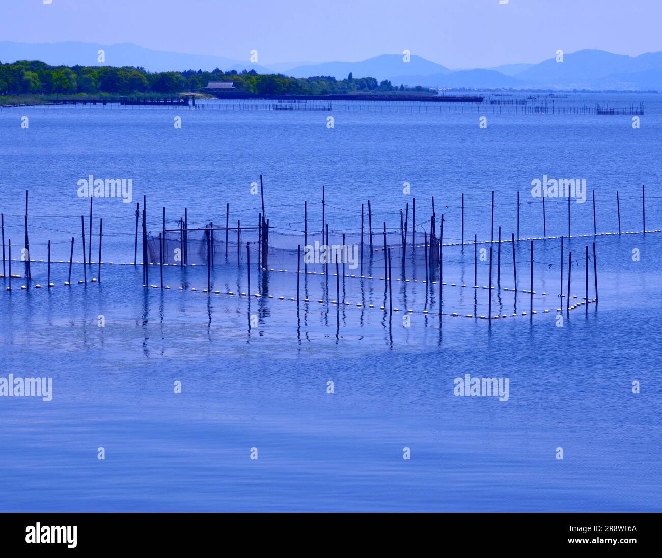 Lake Biwa trap fishing Stock Photo - Alamy