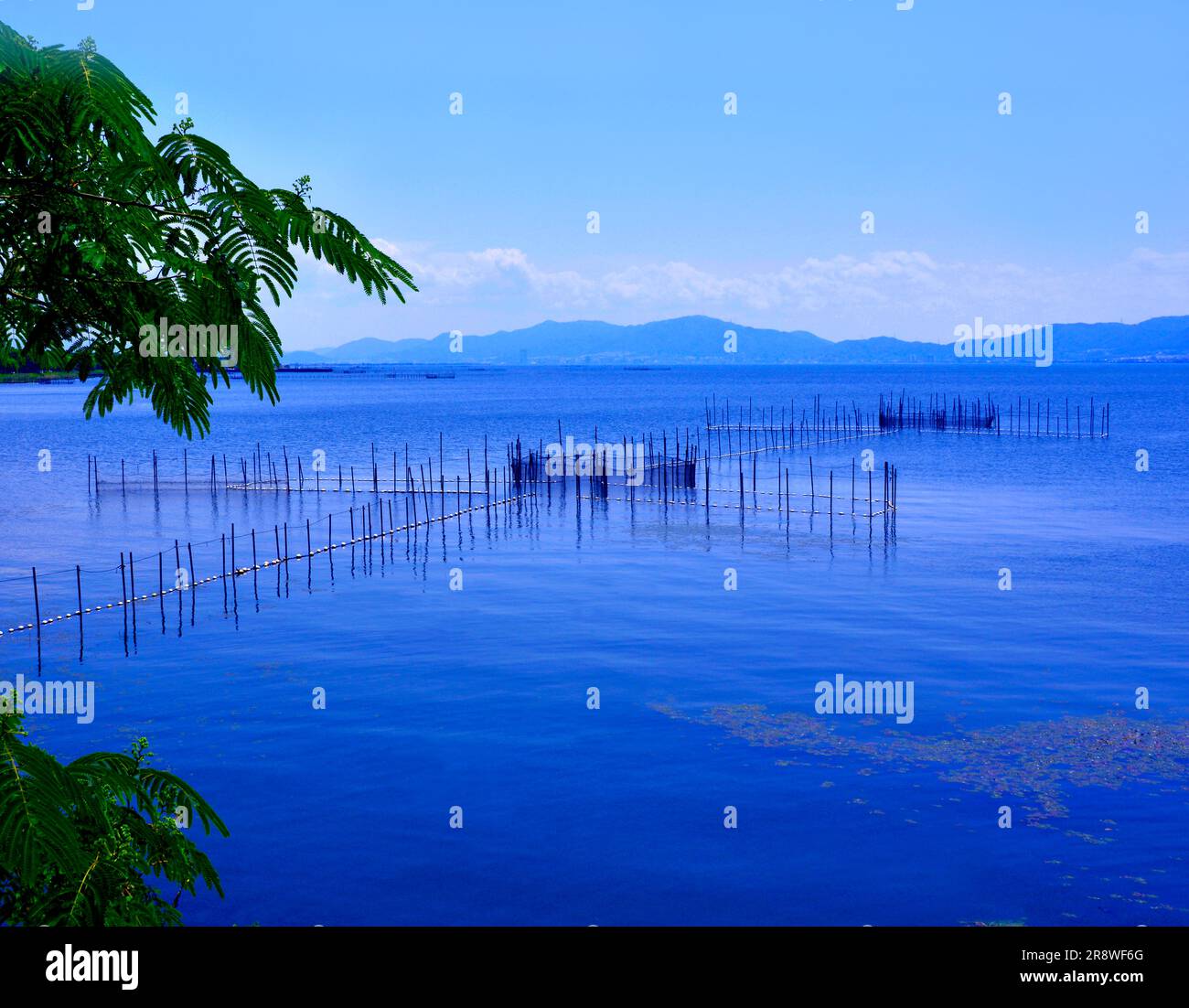 Lake Biwa trap fishing Stock Photo - Alamy