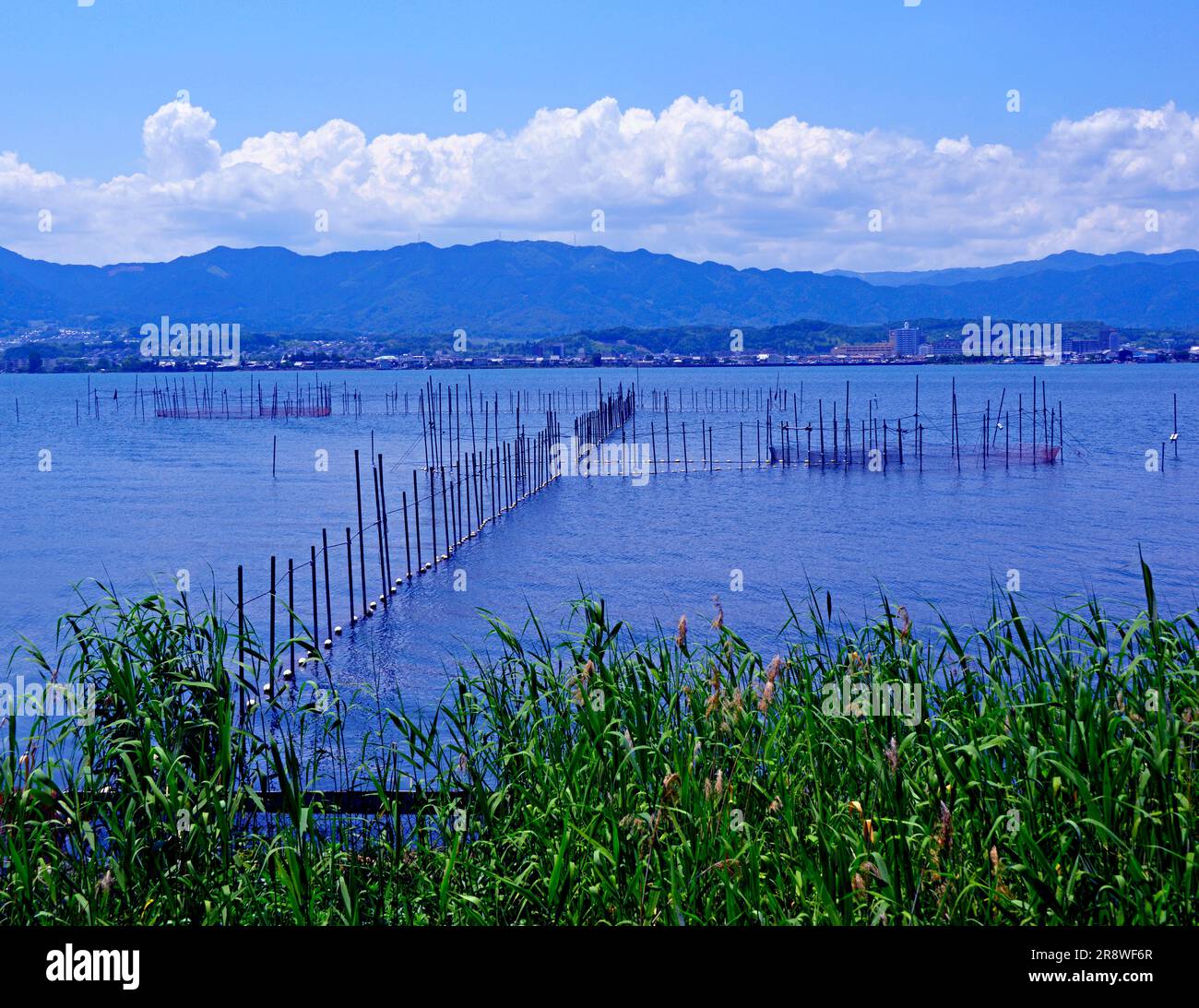 Lake Biwa trap fishing Stock Photo - Alamy