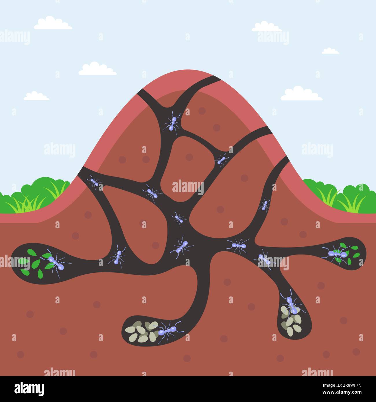 a large anthill with passages underground. flat vector illustration ...