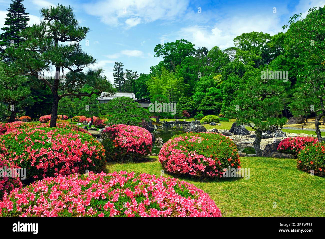 Nijo en hi-res stock photography and images - Alamy