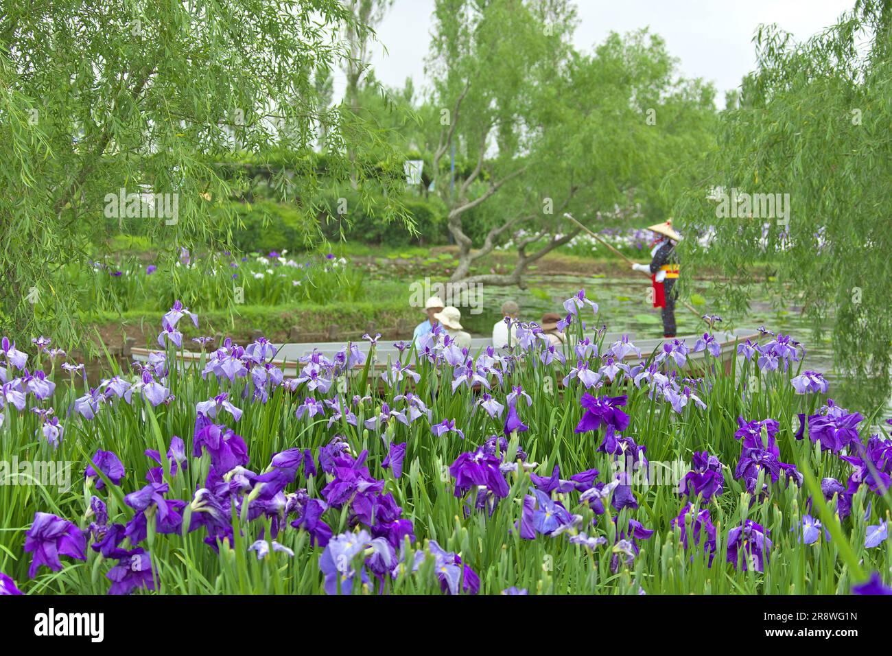 Suig? Sawara Aquatic Botanical Garden Stock Photo - Alamy