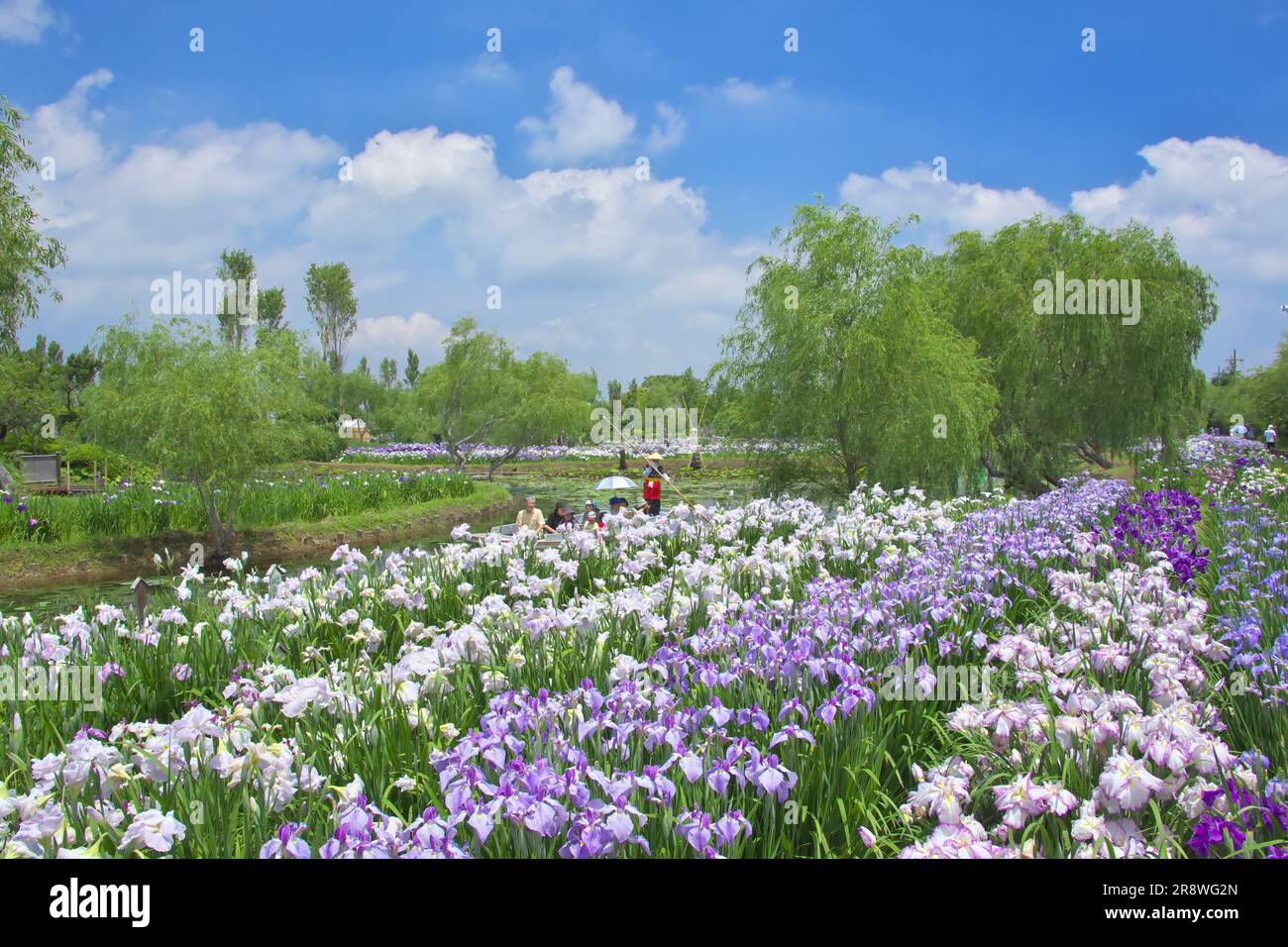 Suig? Sawara Aquatic Botanical Garden Stock Photo - Alamy