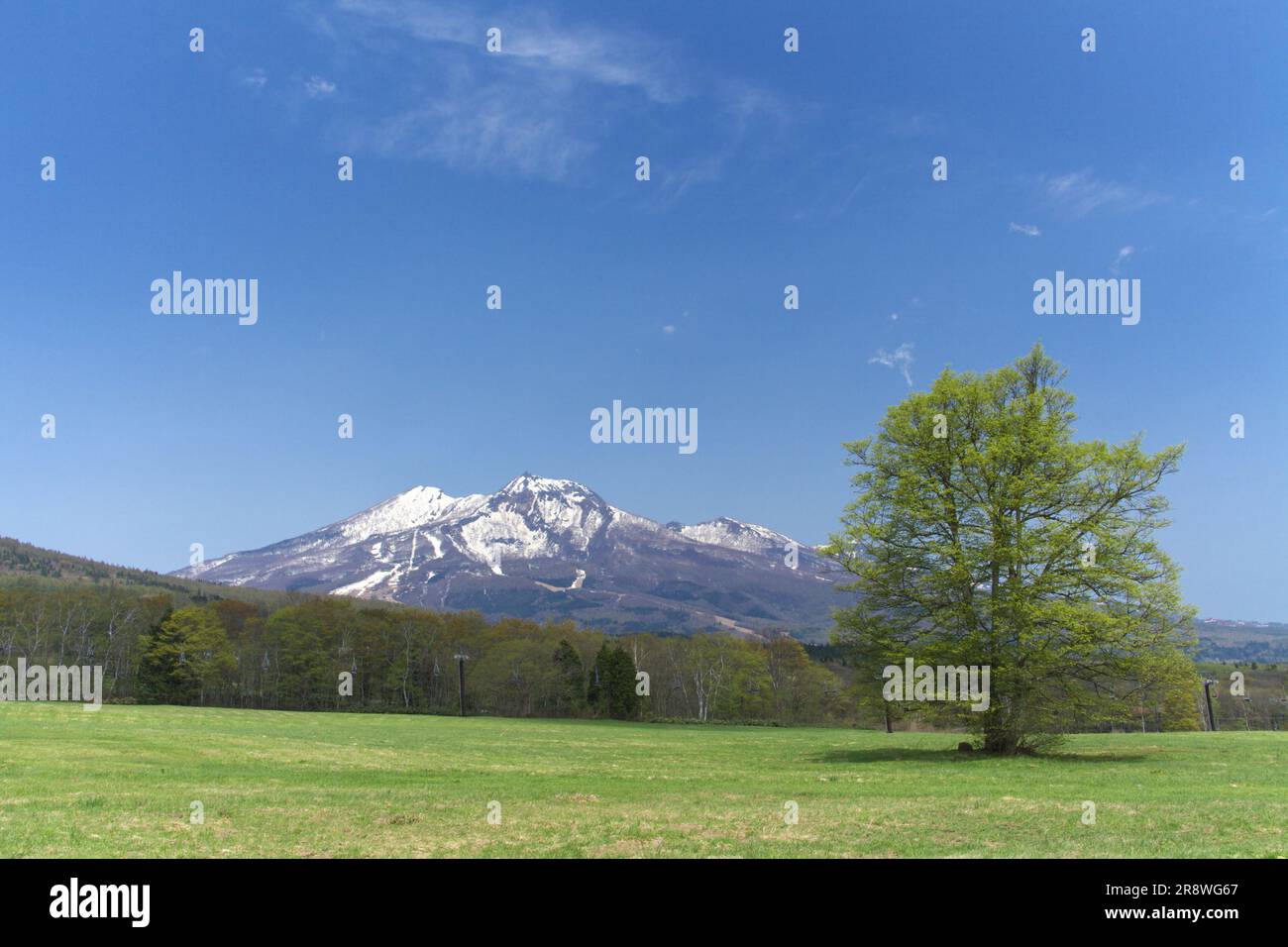Mount may hi-res stock photography and images - Alamy