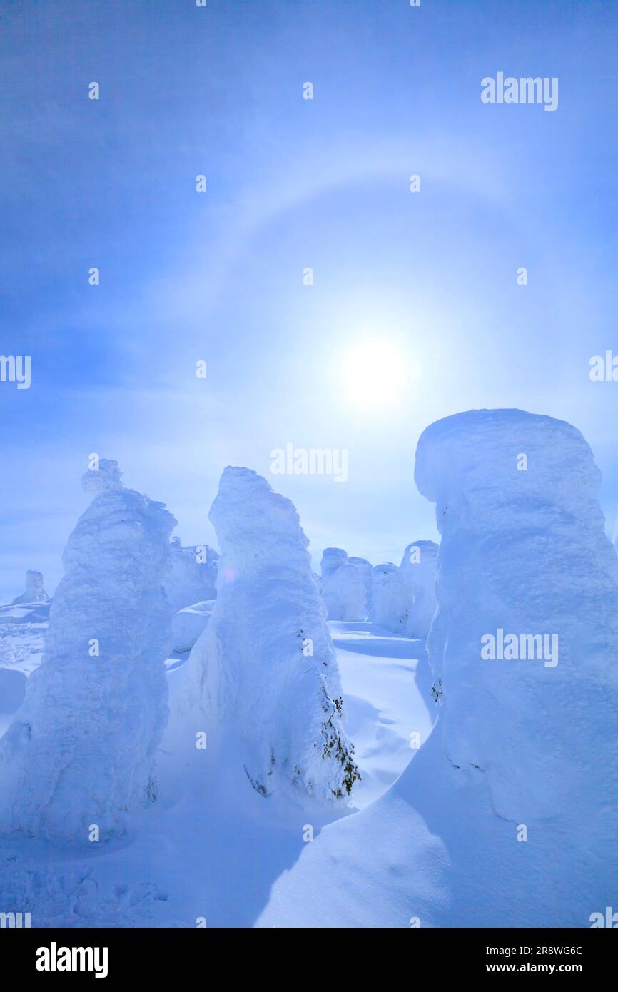 Trees on Mount Zao covered in frost Stock Photo - Alamy