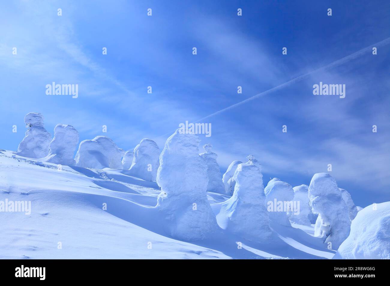 Trees on Mount Zao covered in frost Stock Photo - Alamy