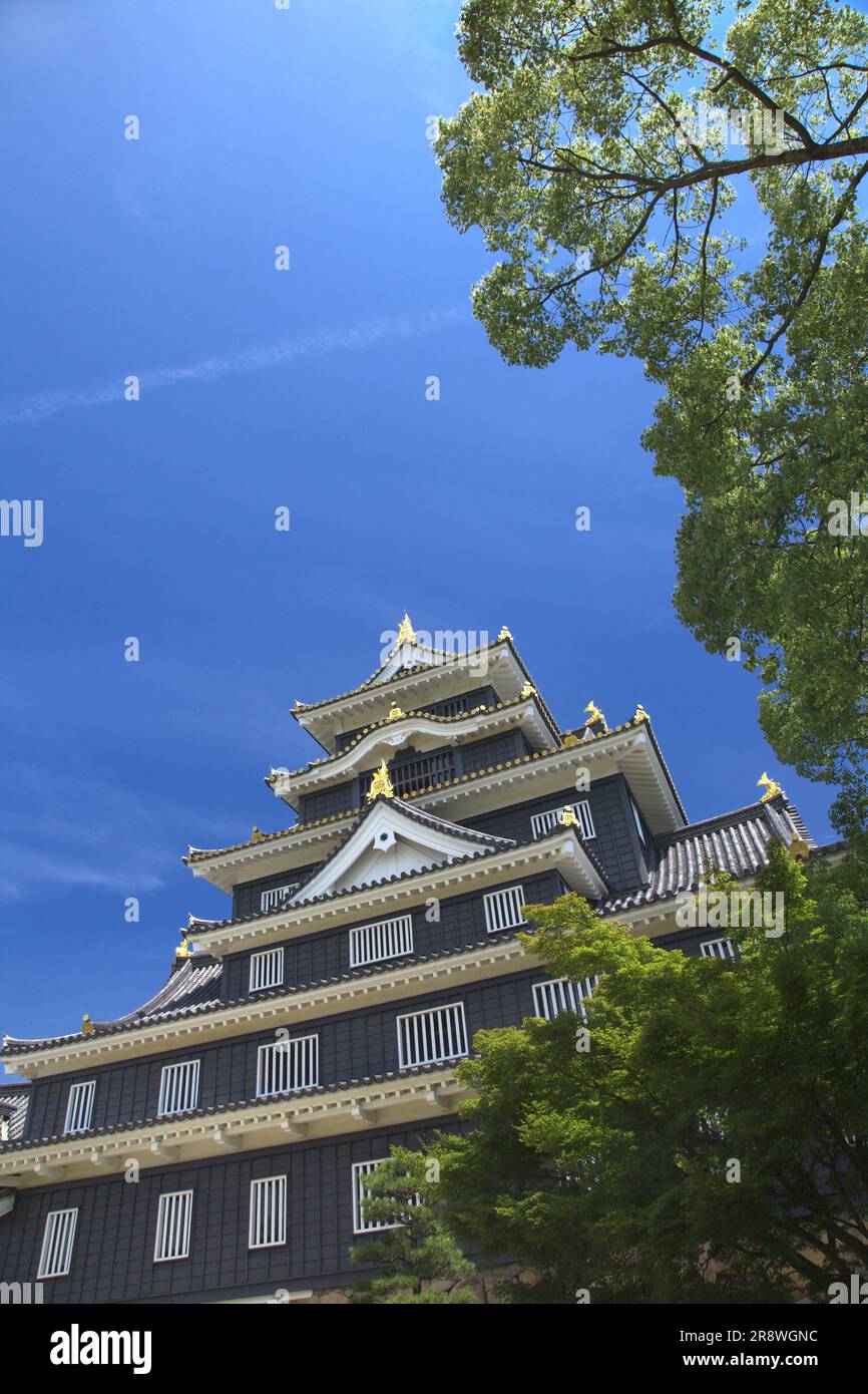 Okayama castle okayama city okayama hi-res stock photography and images ...
