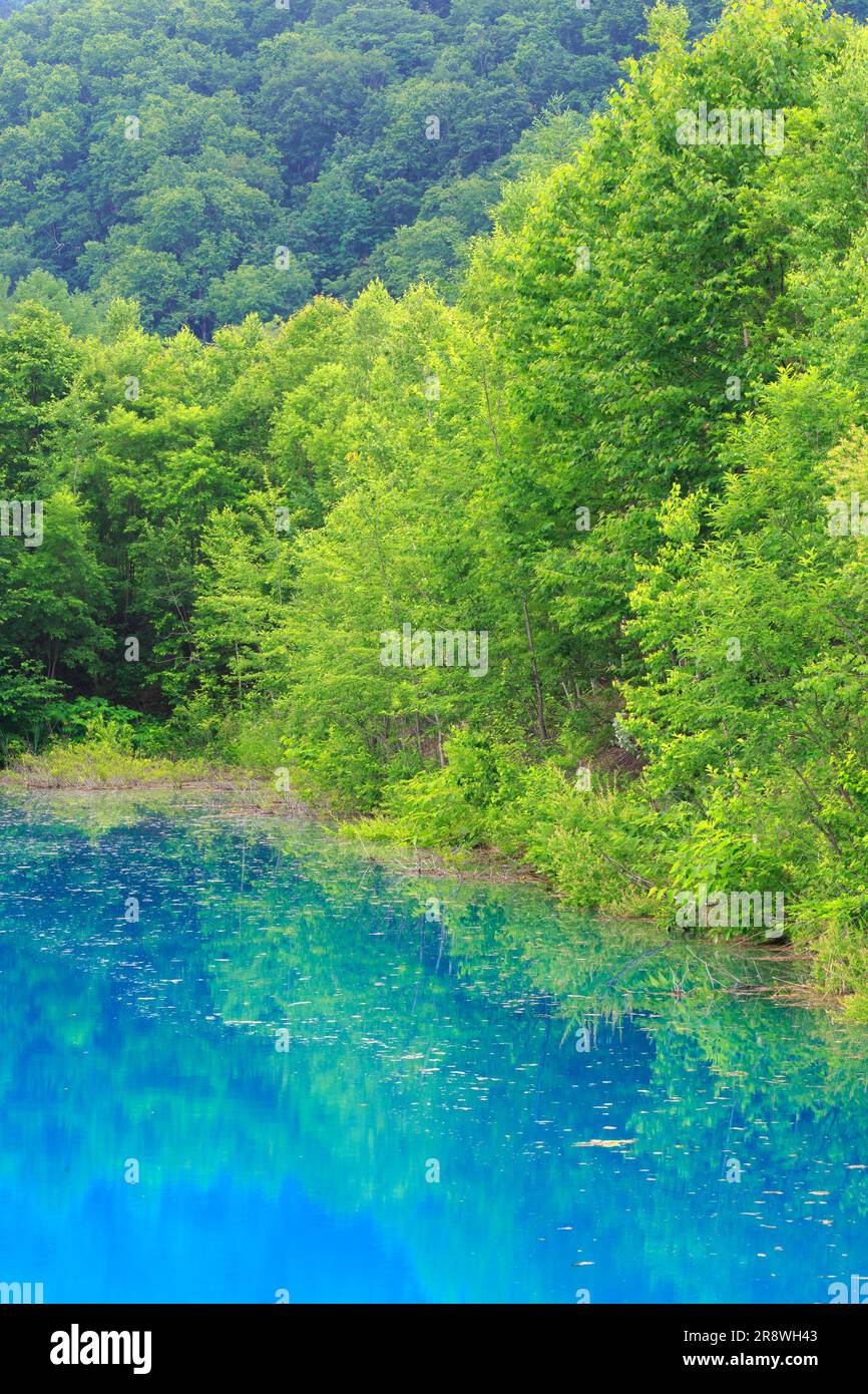 Surface of the pond hi-res stock photography and images - Alamy