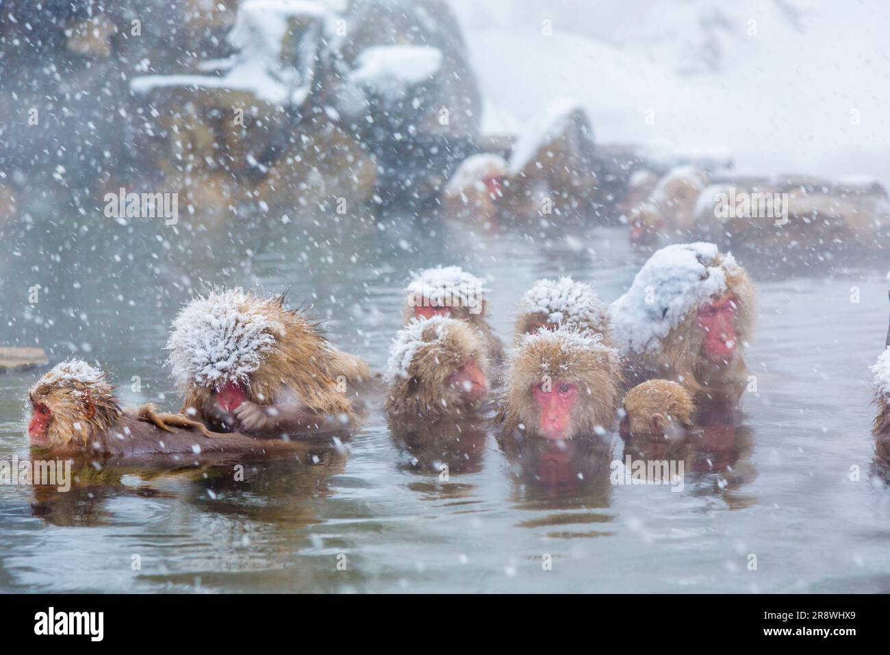 Japanese hotspring japan hi-res stock photography and images - Alamy
