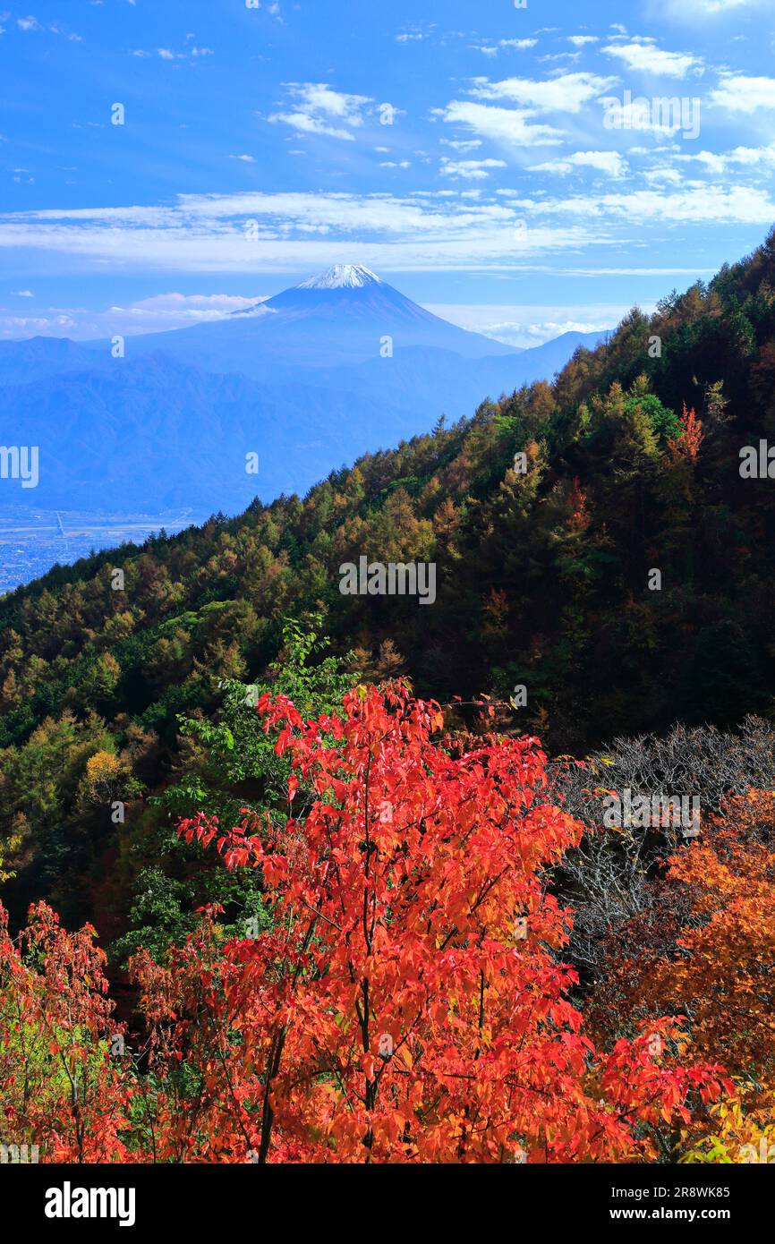 Fantastic autumn morning bright hi-res stock photography and images - Alamy
