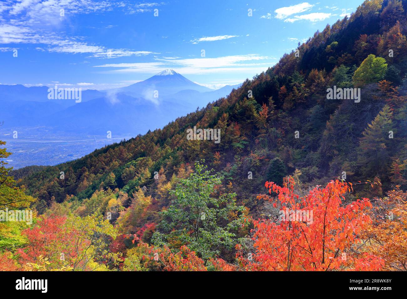 Fantastic autumn morning bright hi-res stock photography and images - Alamy