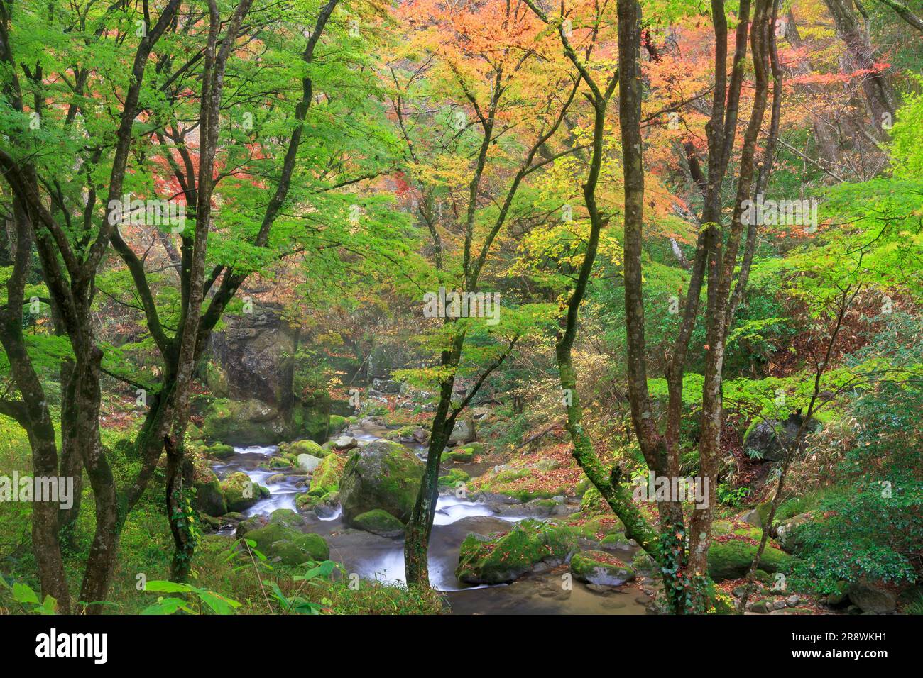 Hananuki valley hi-res stock photography and images - Alamy