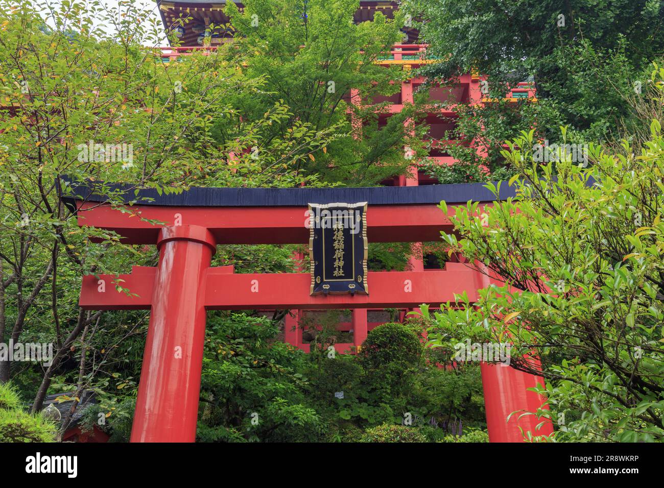 Yutoku Inari Shrine Stock Photo - Alamy