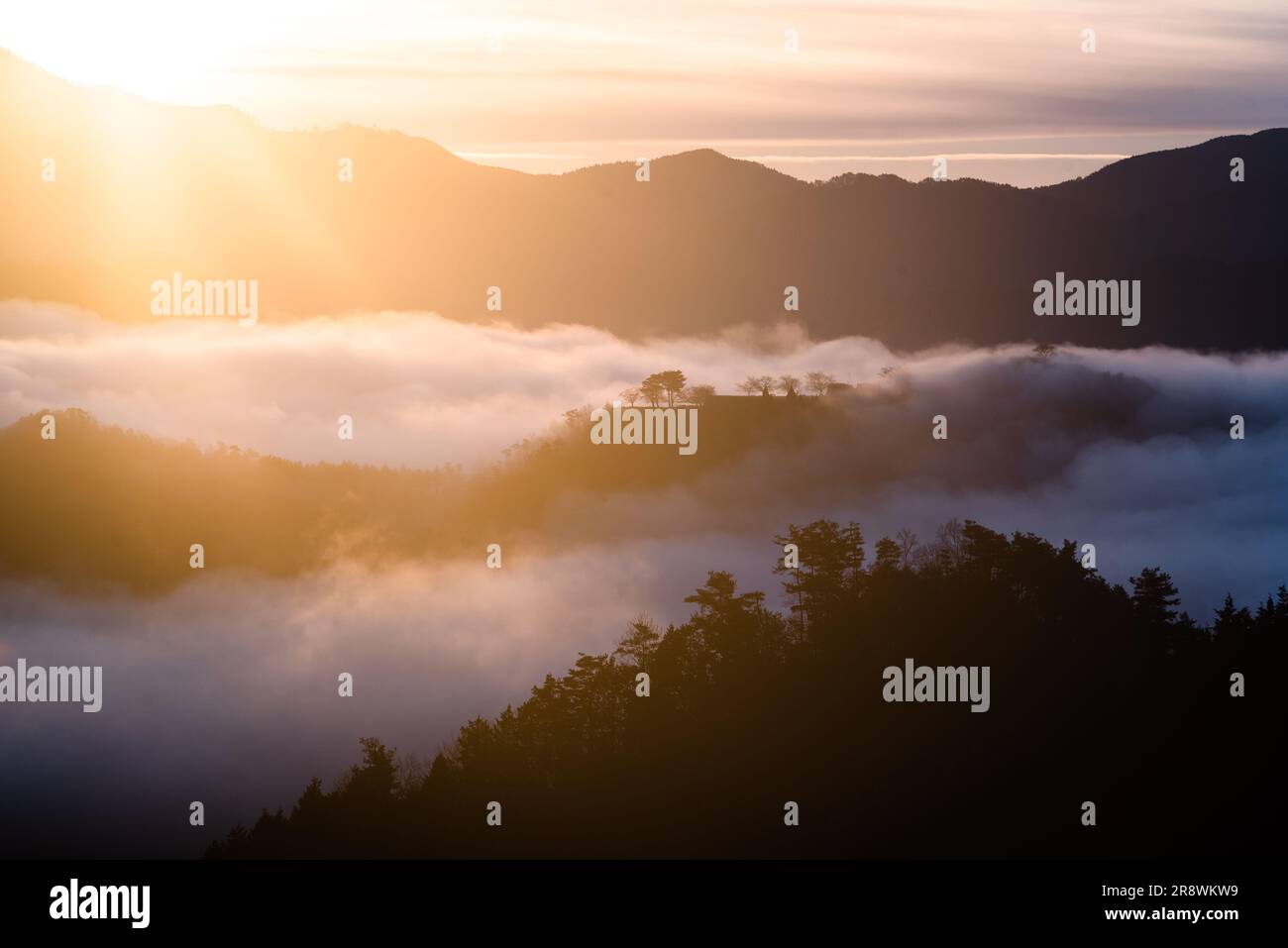 Takeda Castle of Japan at dawn with sunrise and sea cloud Stock Photo ...