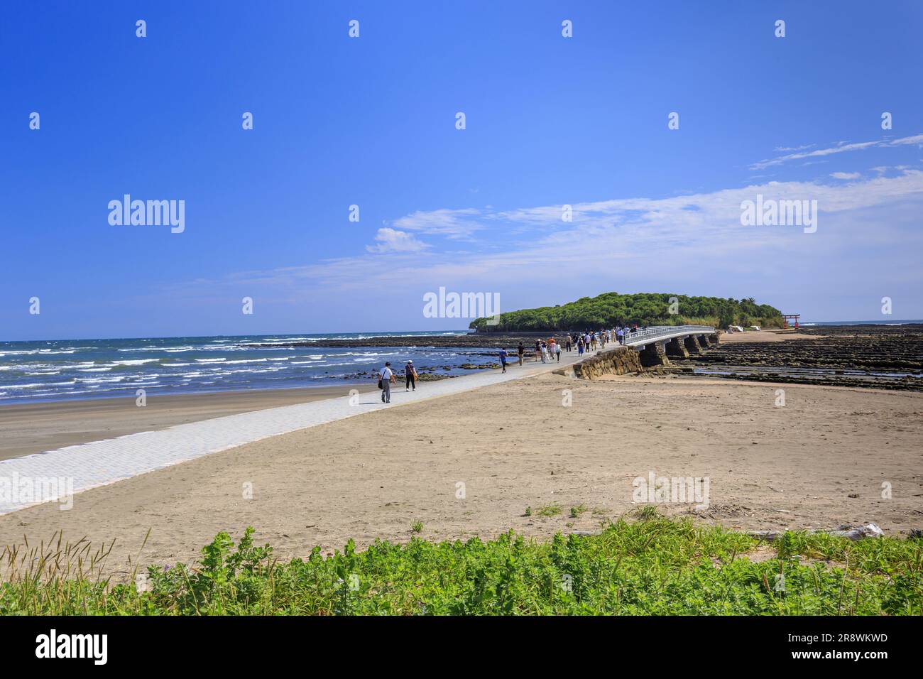 Aoshima miyazaki hi-res stock photography and images - Alamy