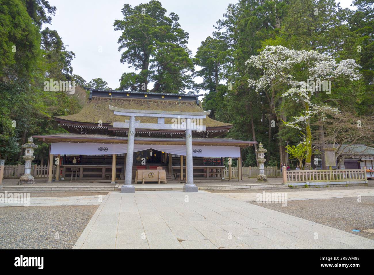 Kashima Jingu Shrine Stock Photo - Alamy