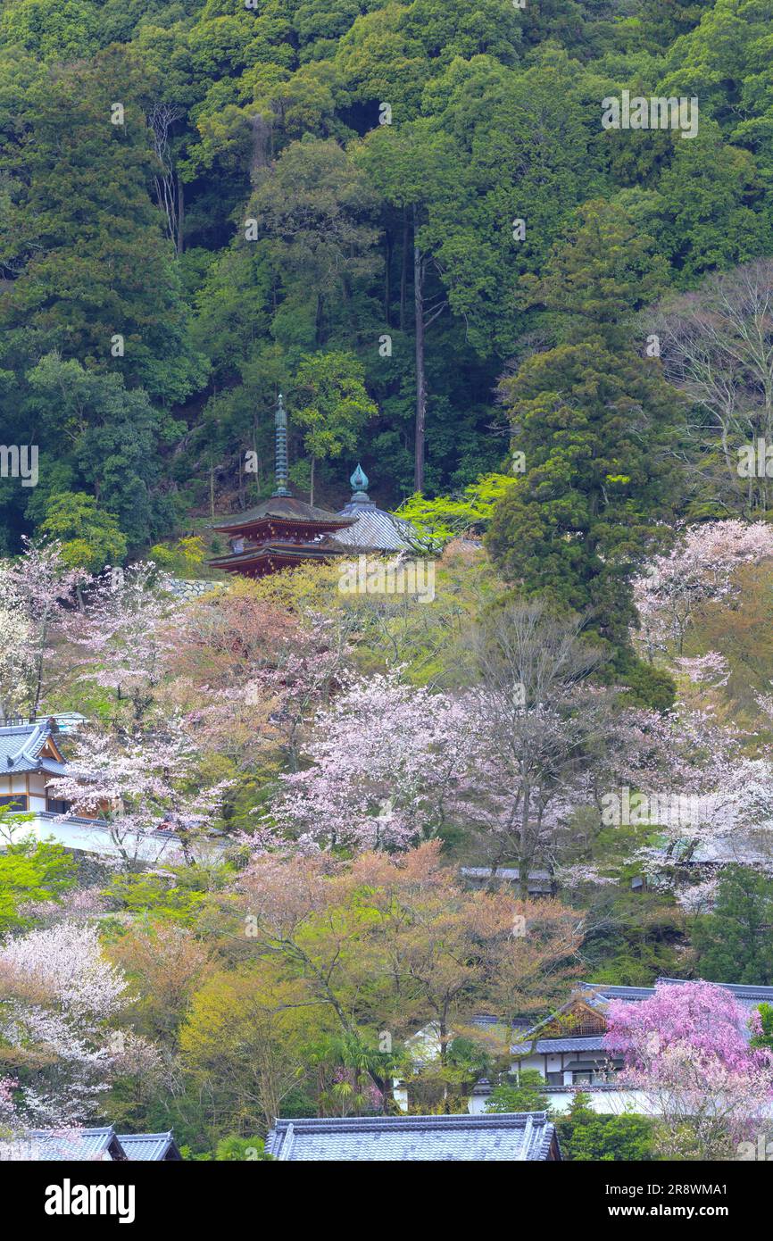 Hasedera temple nara hi-res stock photography and images - Alamy