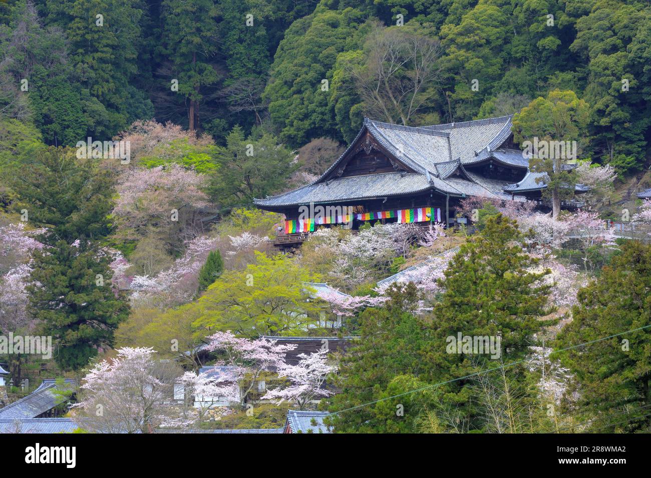 Hasedera temple nara hi-res stock photography and images - Alamy
