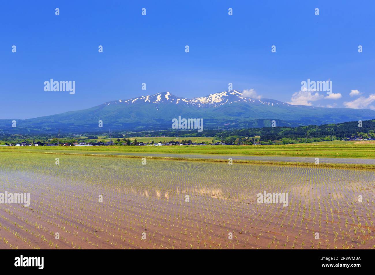 Mount Chokai and paddies Stock Photo - Alamy