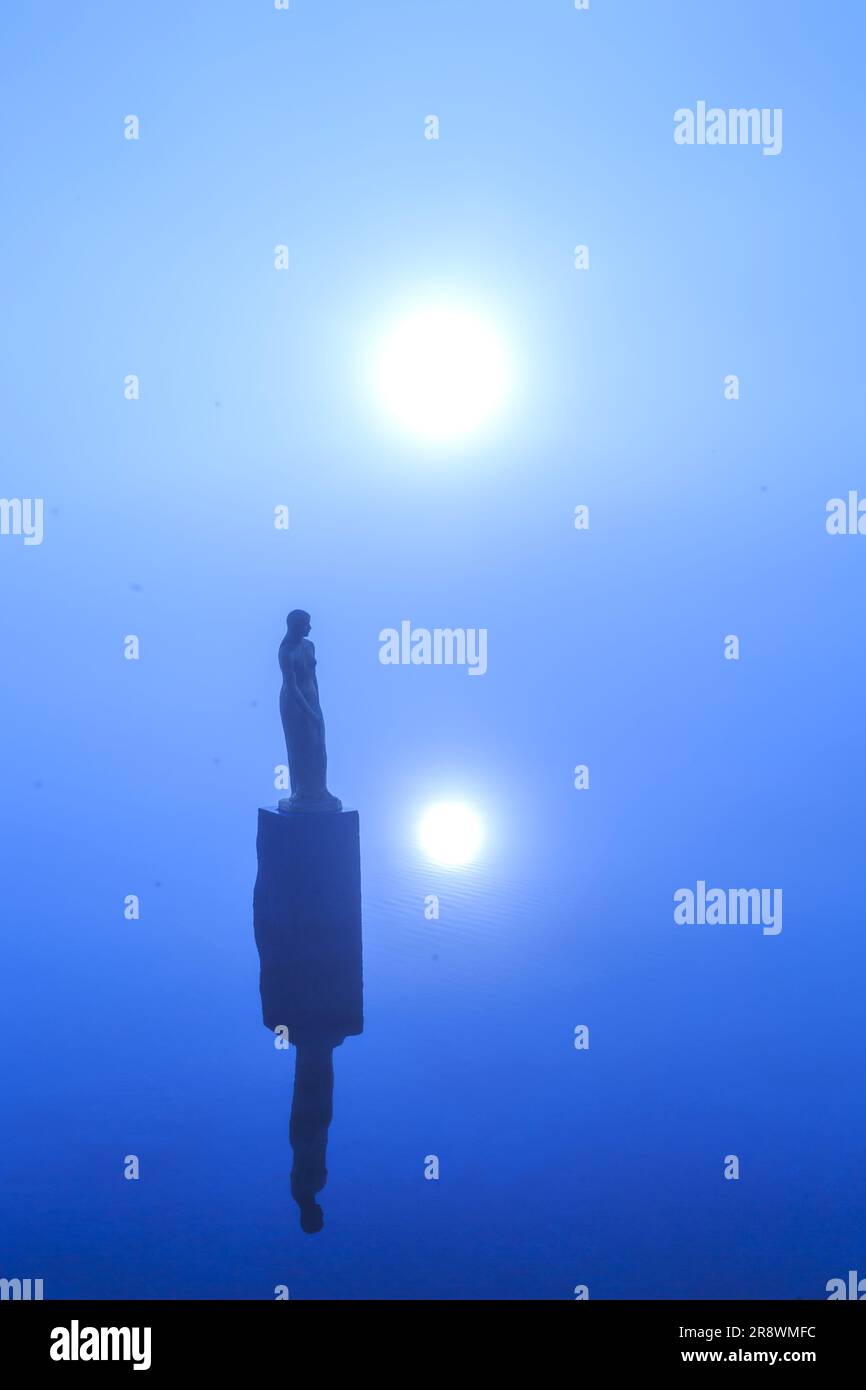 Tatsuko image hi-res stock photography and images - Alamy