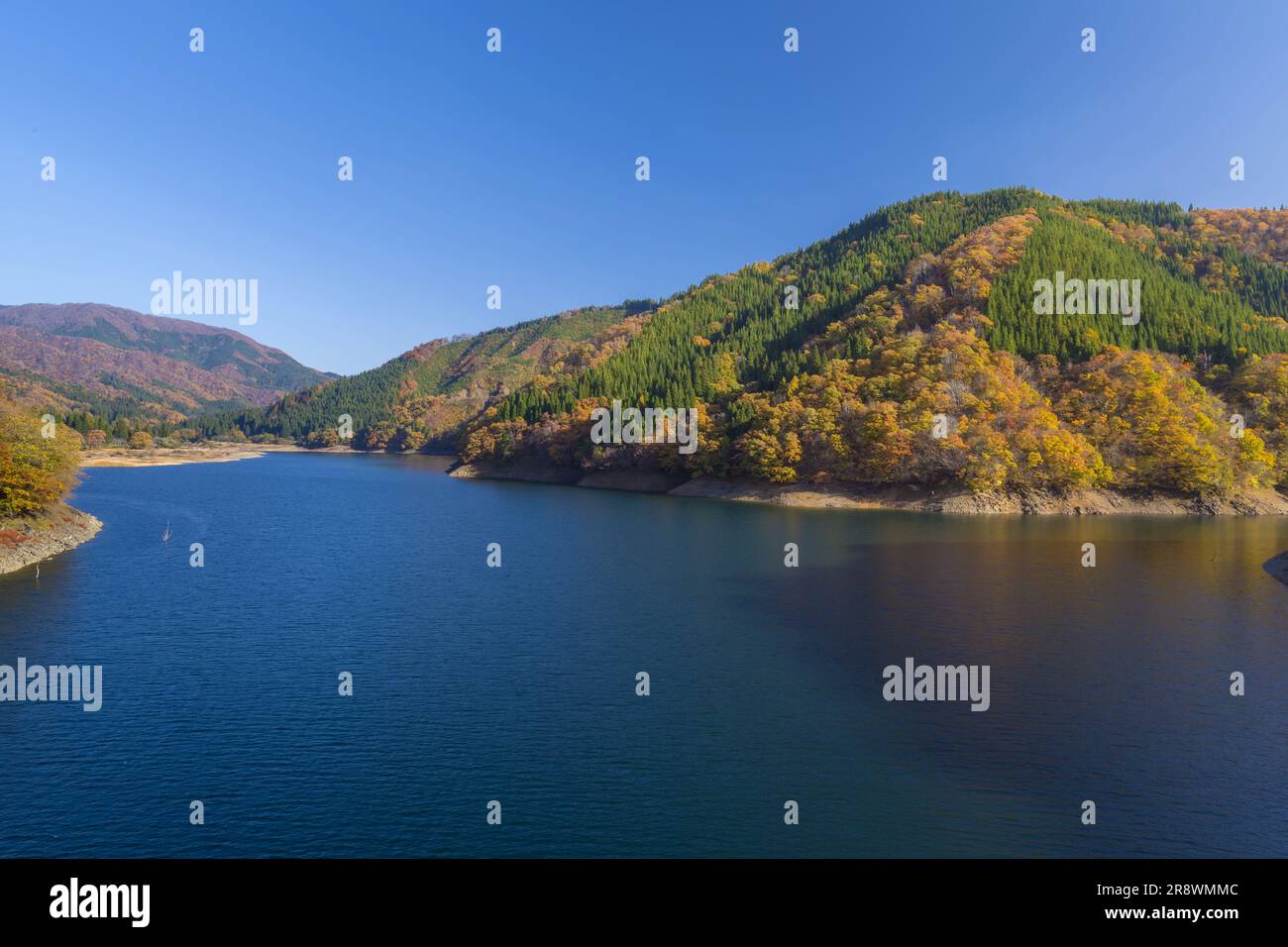 Kuzuryu hi-res stock photography and images - Alamy