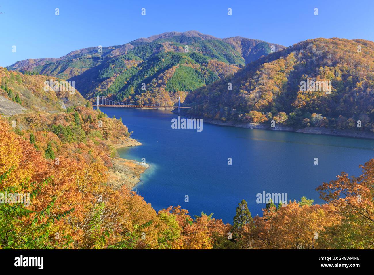 Kuzuryu hi-res stock photography and images - Alamy