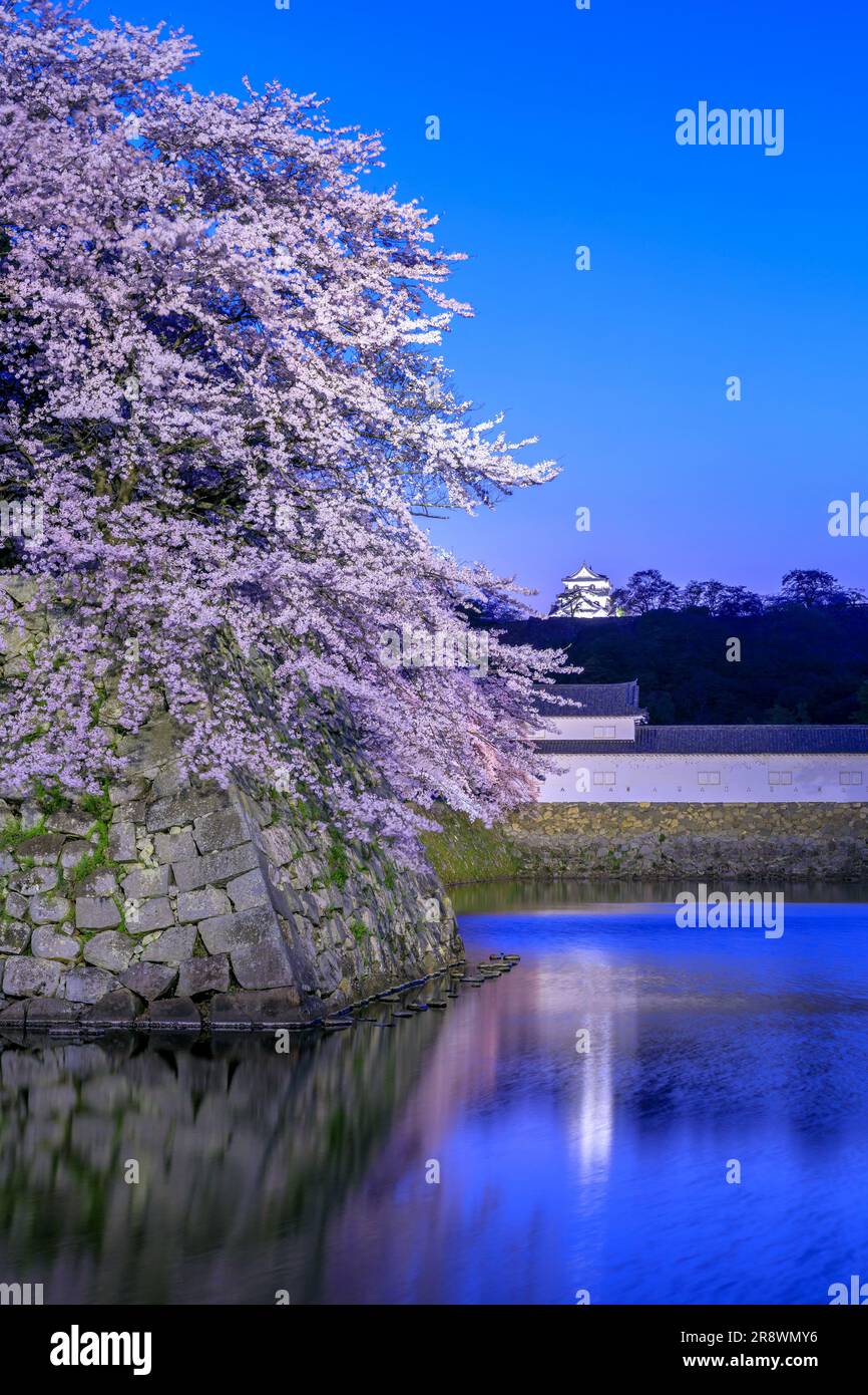 Hikone Castle in spring Stock Photo - Alamy