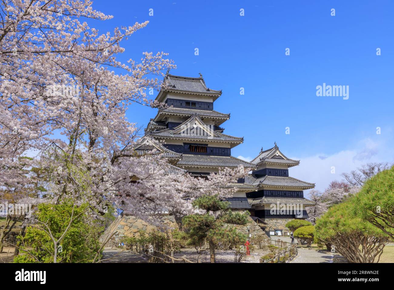Matsumoto Castle in spring Stock Photo - Alamy