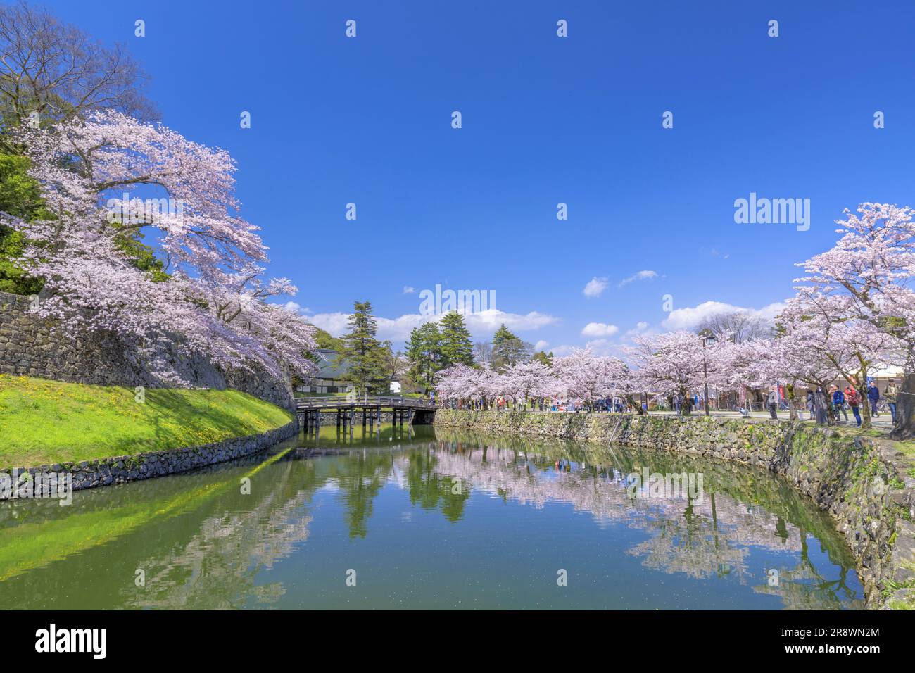 Hikone Castle in spring Stock Photo - Alamy