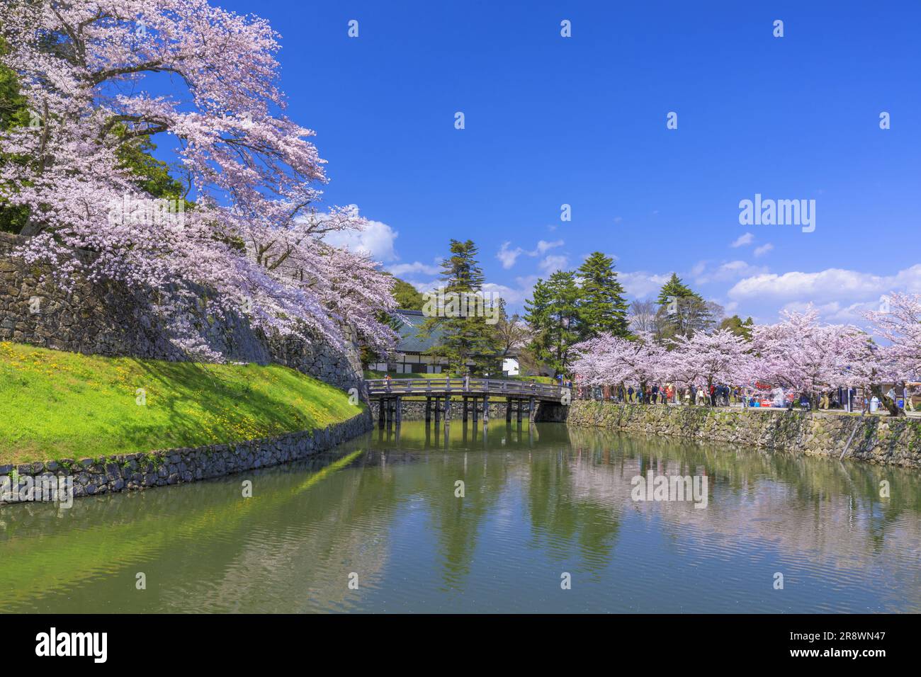 Hikone japan castle moat hi-res stock photography and images - Alamy