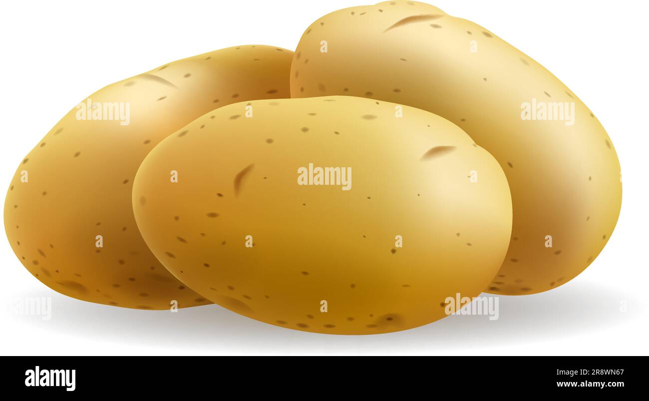 Bunch of potato Stock Vector Images - Alamy