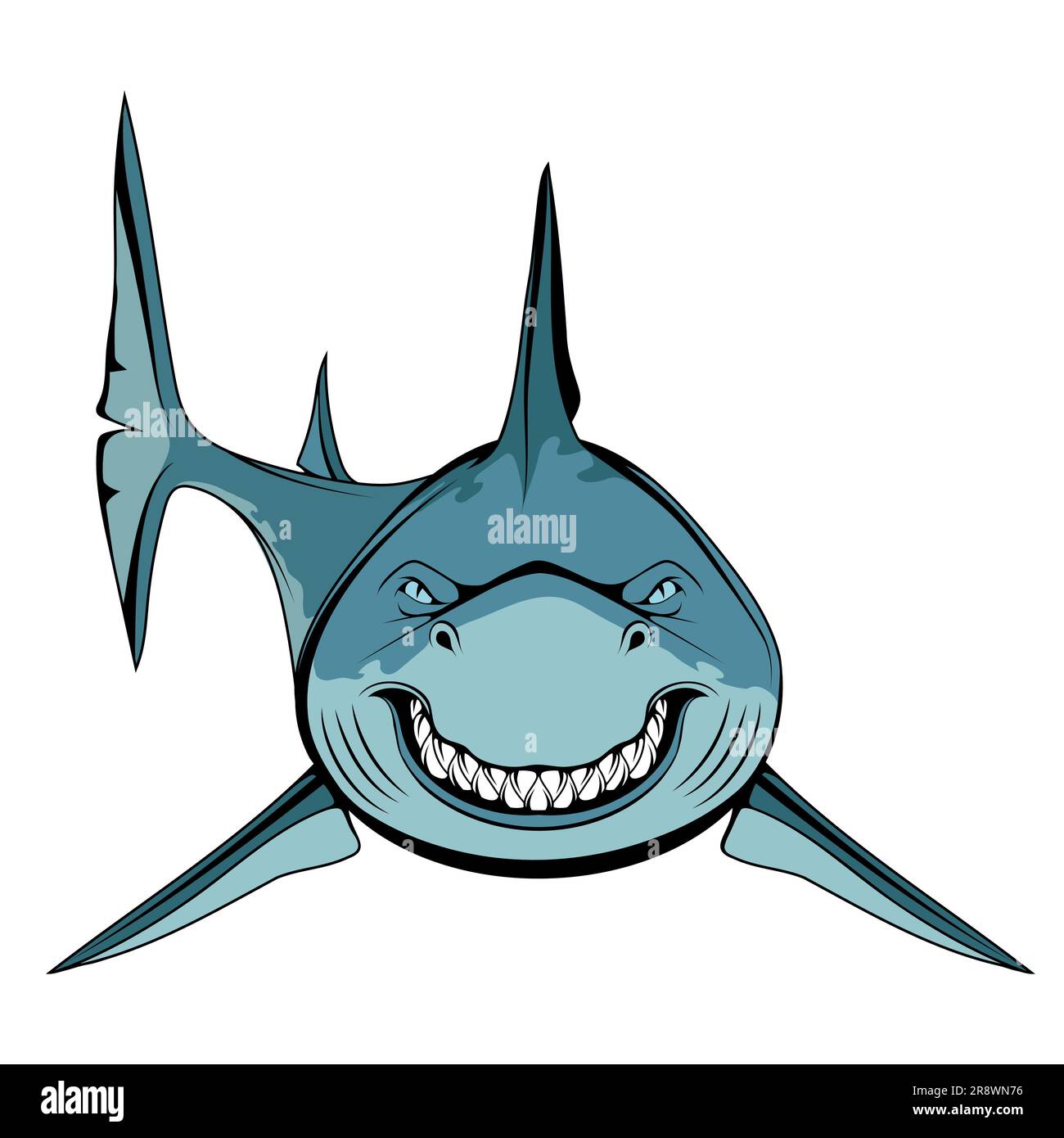 White shark. Vector illustration of a largest predatory fish. Angry ...