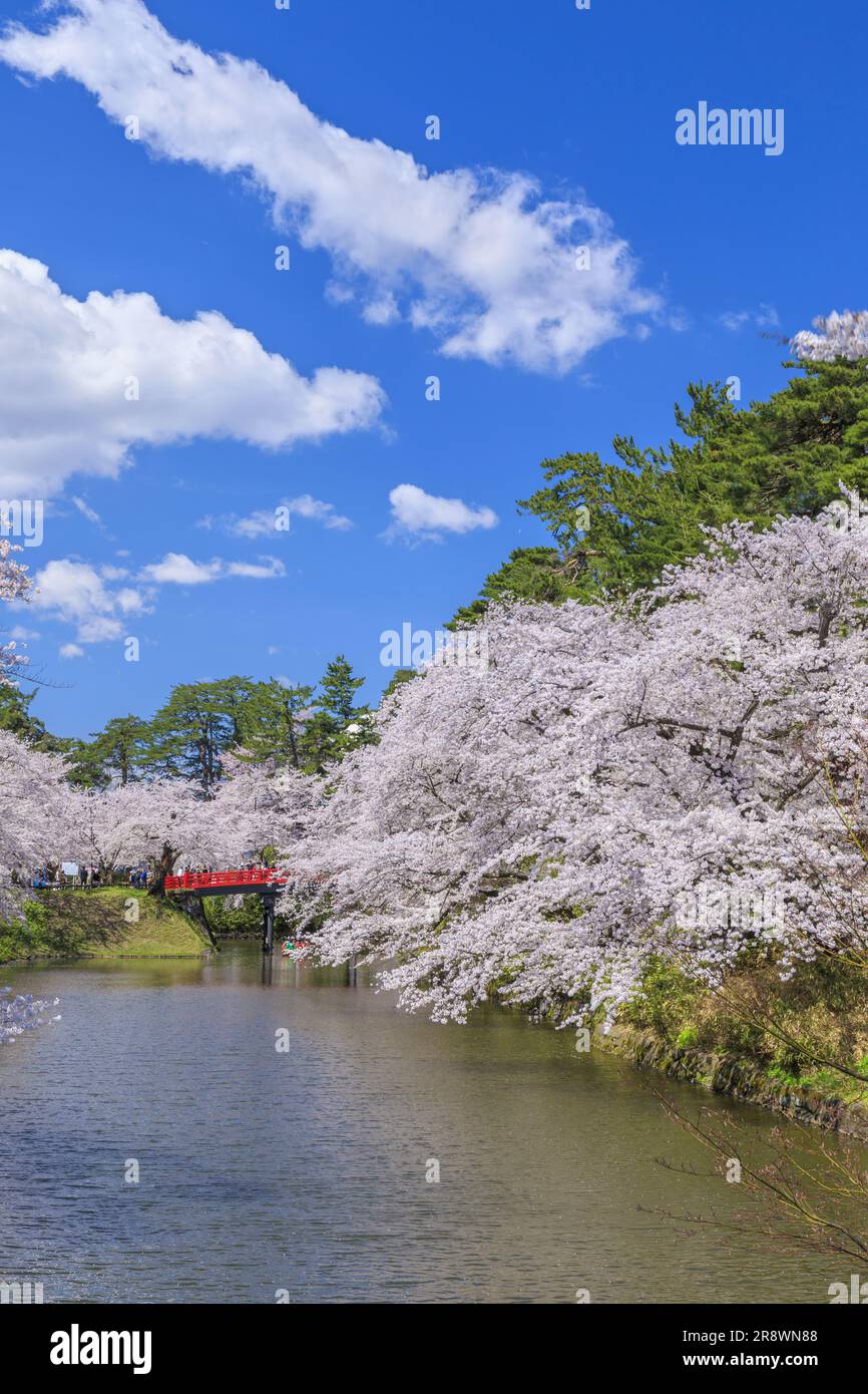 Hirosaki Castle Park Stock Photo - Alamy