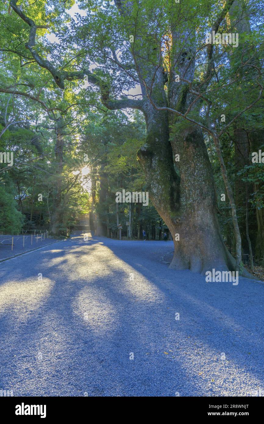 Ise Jingu Shrine Stock Photo - Alamy