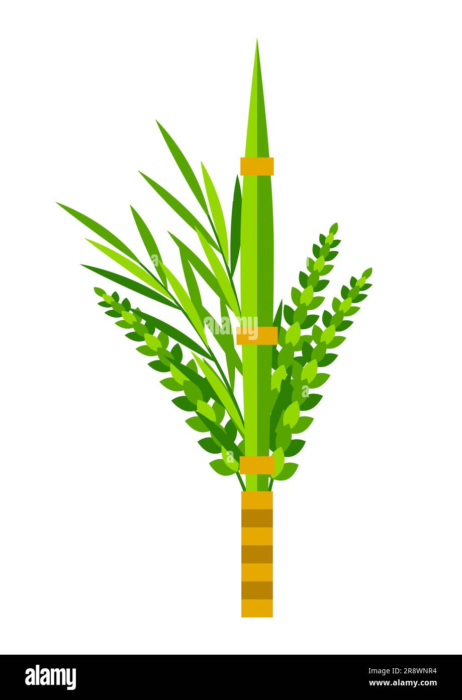 Happy Sukkot symbols. Four species etrog, lulav, willow and myrtle ...