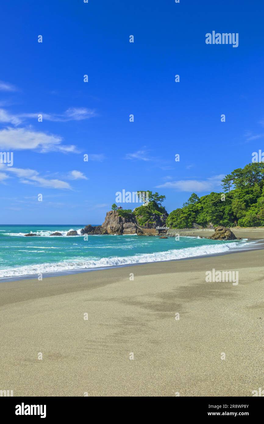 Japanese bay tree hi-res stock photography and images - Alamy