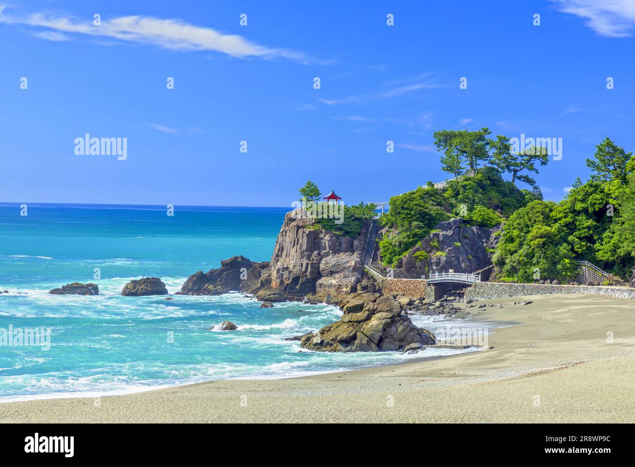 Japanese bay tree hi-res stock photography and images - Alamy