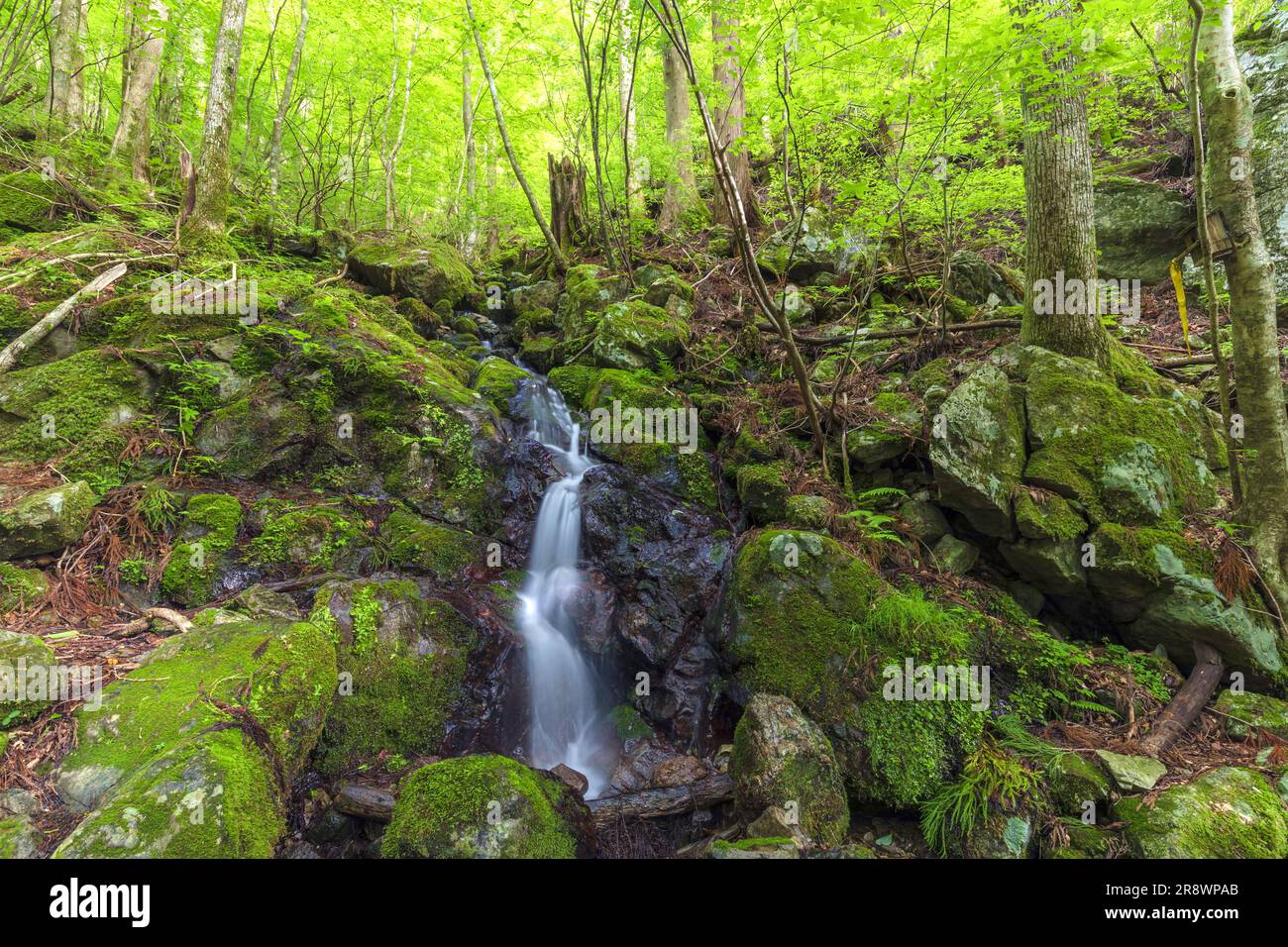 Shimanto river headwaters Stock Photo - Alamy