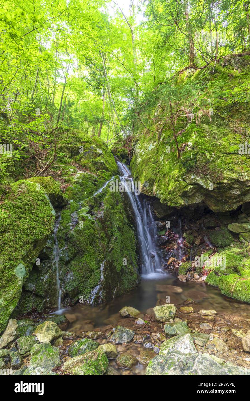 Shimanto river headwaters Stock Photo - Alamy