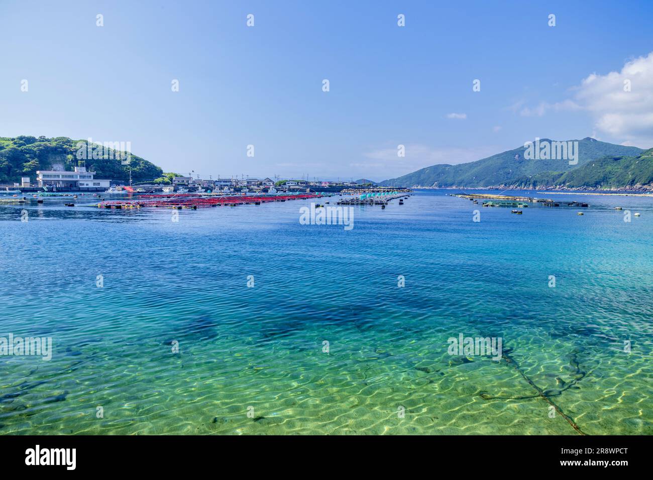 Kashiwajima hi-res stock photography and images - Alamy