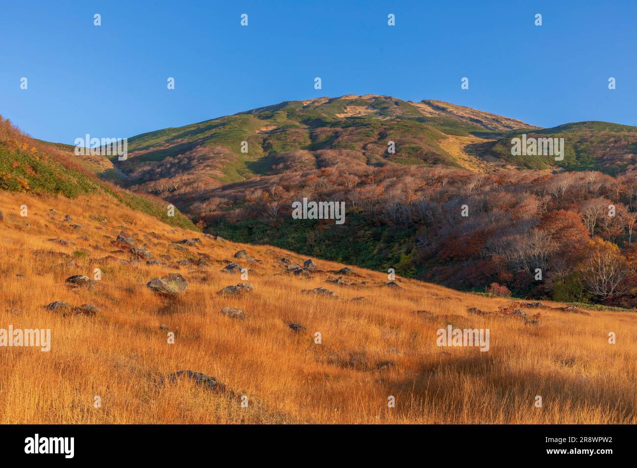 Chokaisan in Autumn Stock Photo - Alamy