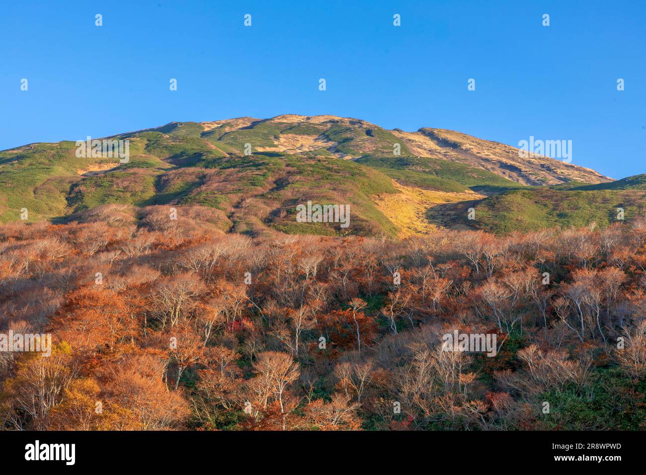 Chokaisan hi-res stock photography and images - Alamy