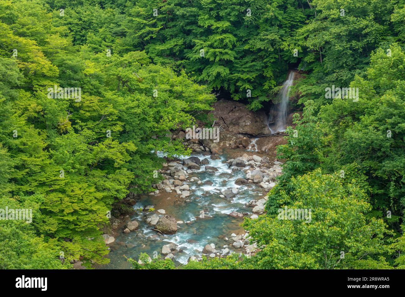 Matsukawa hi-res stock photography and images - Alamy