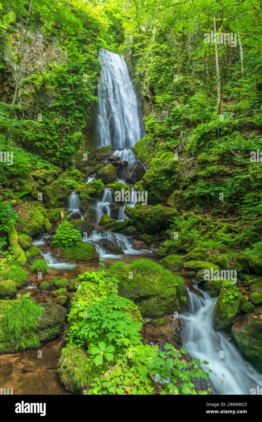 Fudo waterfall hi-res stock photography and images - Alamy