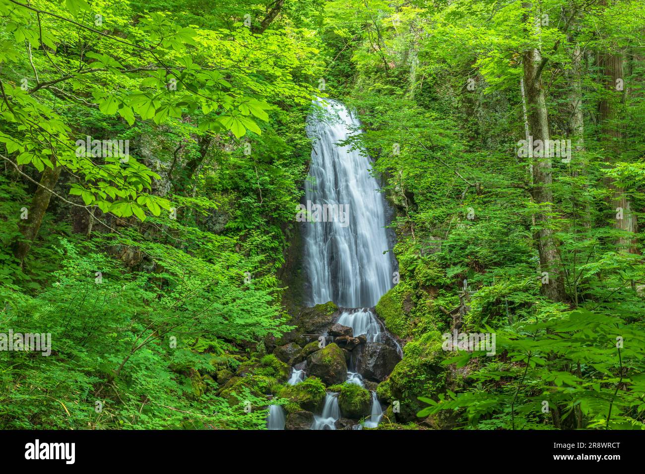 Fudo waterfall hi-res stock photography and images - Alamy