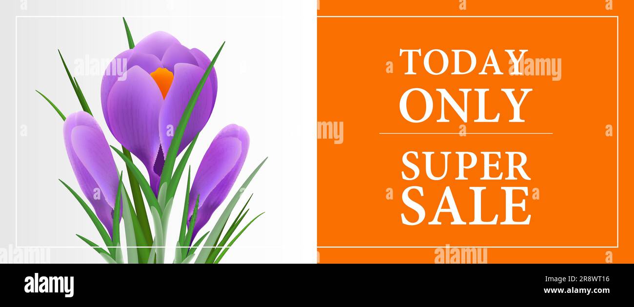 Only today banner hi-res stock photography and images - Alamy